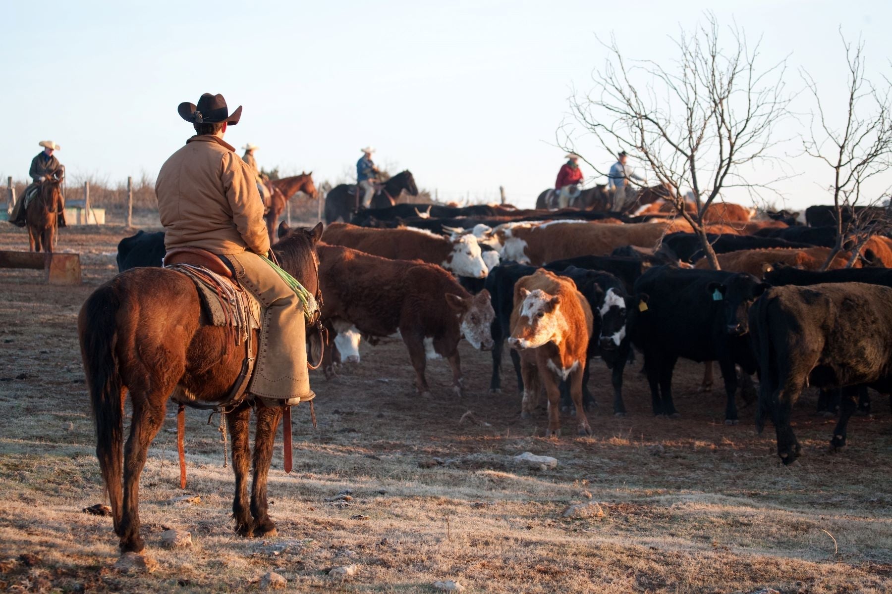 Best Cowboy Hats for Ranch Work: Durable and Practical Options ...